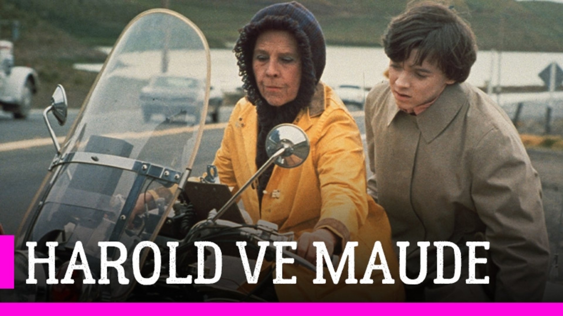 Harold ve Maude Film Fragmanı | Harold and Maude Trailer | Turkuvapp