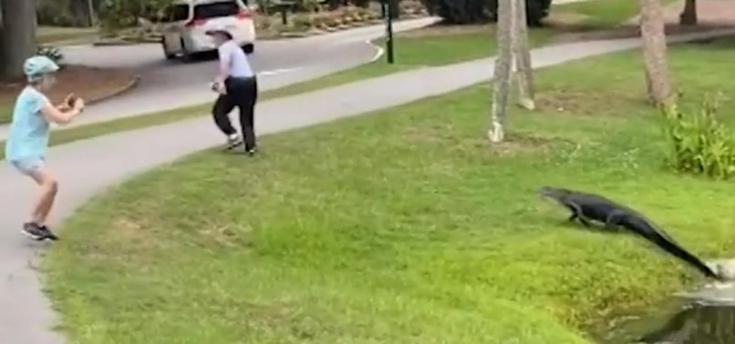 Shocking footage captures alligator charging at South Carolina ...