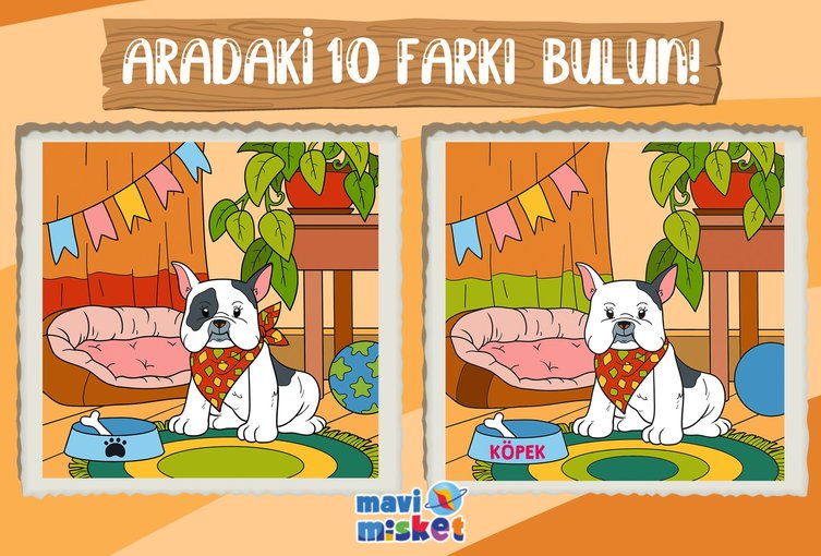 Aradaki 10 Farkı Bulun! - Mavi Misket