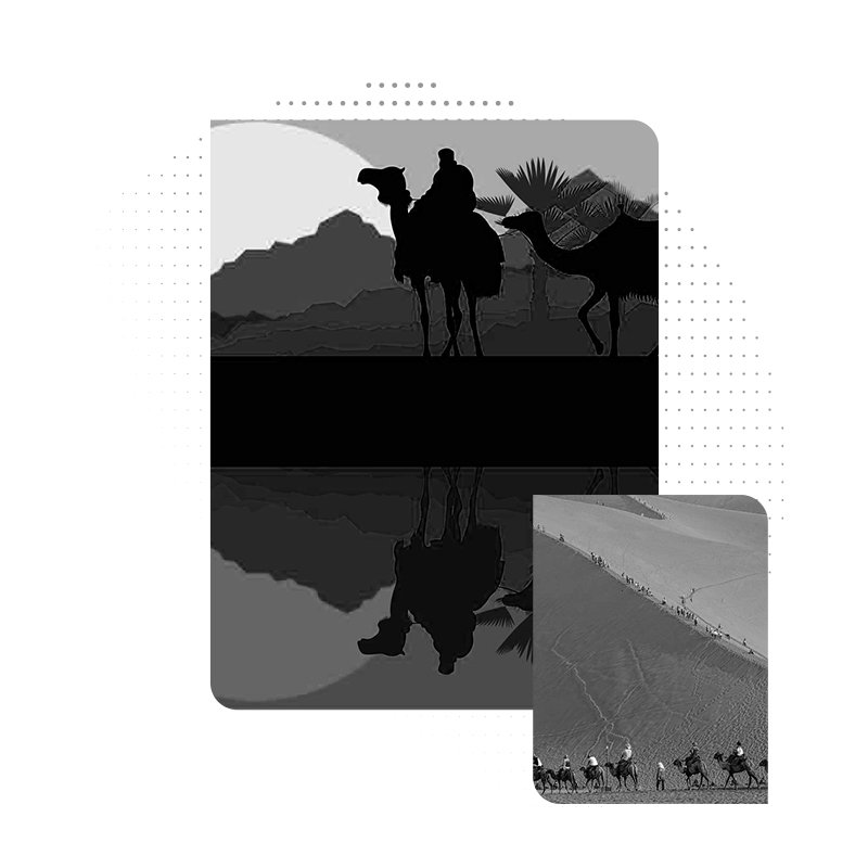 Hz. Zeyd - Fikriyat Gazetesi