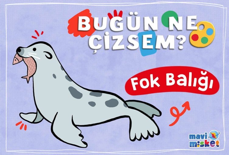 Bugün Ne Çizsem? Fok Balığı - Mavi Misket