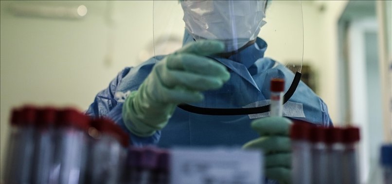Nigeria Declares Lassa Fever Emergency