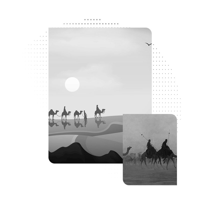 Hz. Zeyd - Fikriyat Gazetesi