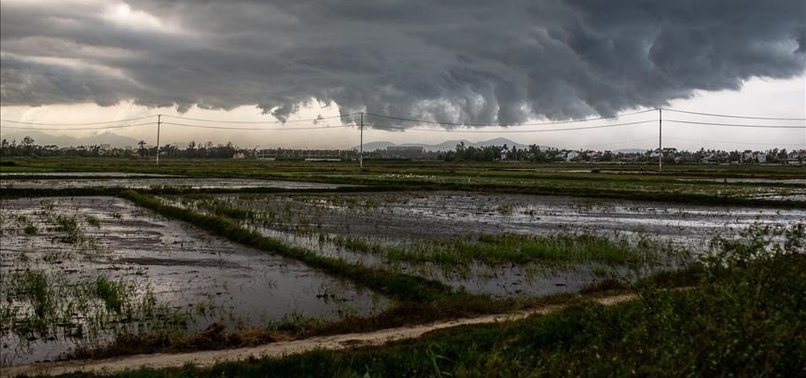 Death toll from Typhoon Yagi in Vietnam reaches 21 Death toll from Typhoon Yagi in Vietnam reaches 21