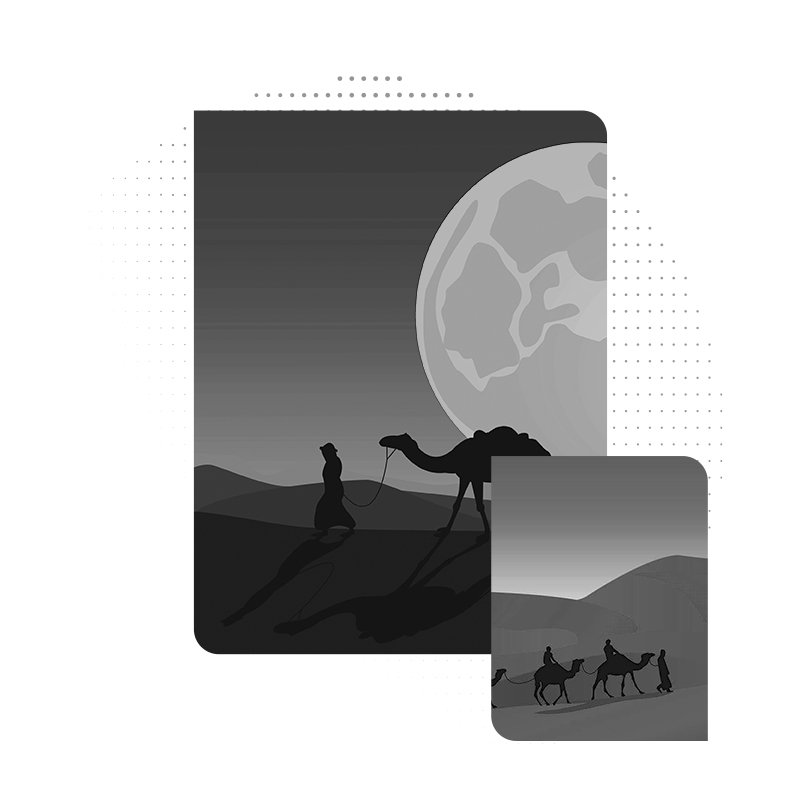 Hz. Zeyd - Fikriyat Gazetesi