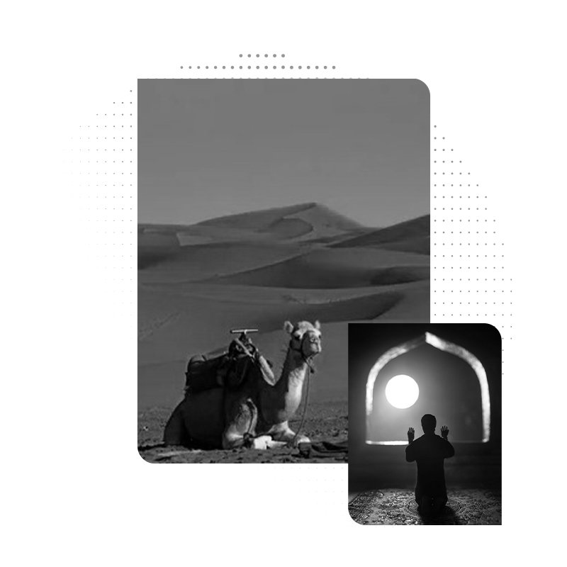 Hz. Zeyd - Fikriyat Gazetesi