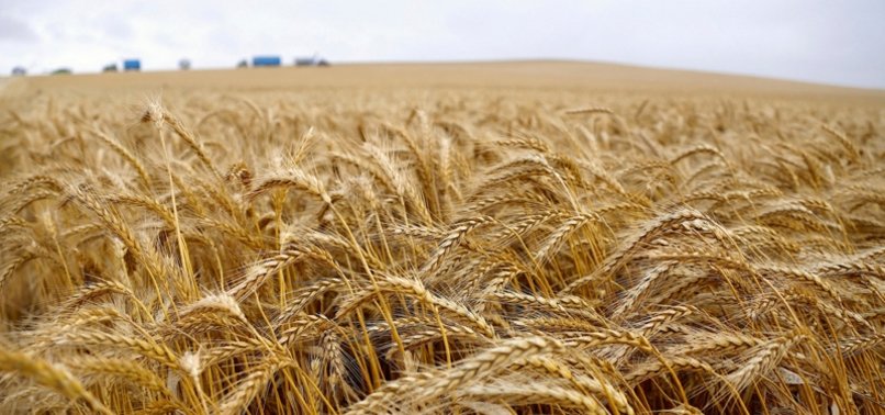 Moscow Calls For Sanctions To Be Lifted To Avoid Food Crisis