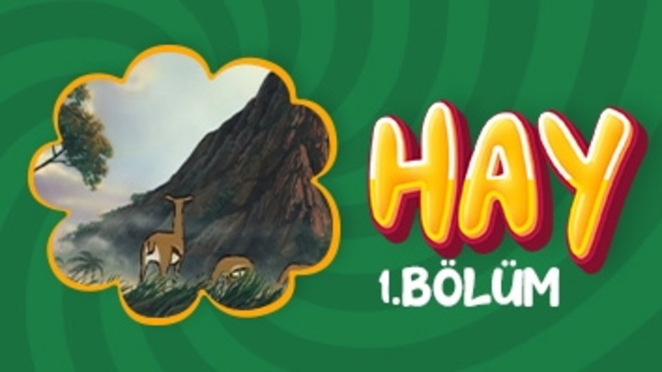 Hay 1. Bölüm
